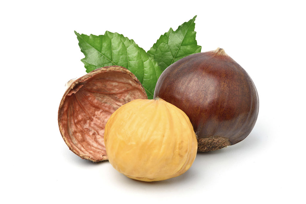 THE TASTY HEALTH BENEFITS OF CHESTNUTS - Naji Cherfan Foundation